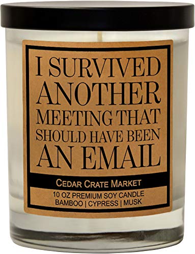 I Survived Another Meeting That Should Have Been An Email - Funny Candles Gift for Women, Men, Funny Gift for Coworkers, Boss, Friendship Gifts, Work from Home Gift, Boss Lady Gifts for Women, Besties