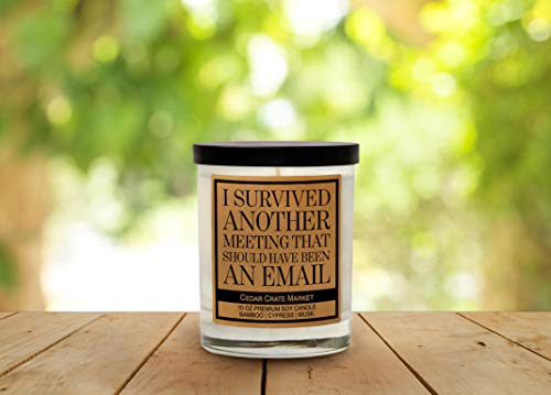 I Survived Another Meeting That Should Have Been An Email - Funny Candles Gift for Women, Men, Funny Gift for Coworkers, Boss, Friendship Gifts, Work from Home Gift, Boss Lady Gifts for Women, Besties