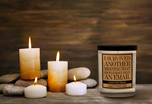 I Survived Another Meeting That Should Have Been An Email - Funny Candles Gift for Women, Men, Funny Gift for Coworkers, Boss, Friendship Gifts, Work from Home Gift, Boss Lady Gifts for Women, Besties