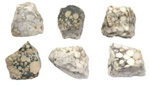 6pk raw conglomerate, sedimentary rock specimens - approx. 1" - geologist selected & hand processed - great for science classrooms - class pack - eisco labs