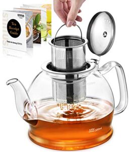 stntus glass teapot, 40 oz. / 1200 ml teapot, glass tea pot for loose tea, glass teapot with infusers for loose tea, tea pot for stove, teapot with stainless steel strainer, teapot for 4-6 cups