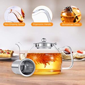 STNTUS Glass Teapot, 40 oz. / 1200 ml Teapot, Glass Tea Pot for Loose Tea, Glass Teapot with Infusers for Loose Tea, Tea Pot for Stove, Teapot with Stainless Steel Strainer, Teapot for 4-6 Cups