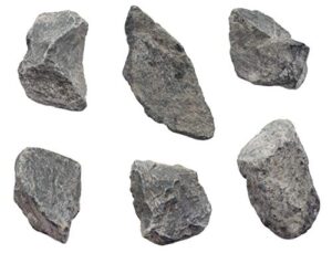 6pk raw gray limestone, sedimentary rock specimens - approx. 1" - geologist selected & hand processed - great for science classrooms - class pack - eisco labs