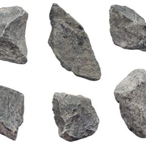 6PK Raw Gray Limestone, Sedimentary Rock Specimens - Approx. 1" - Geologist Selected & Hand Processed - Great for Science Classrooms - Class Pack - Eisco Labs