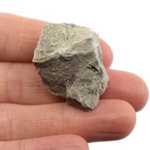 6PK Raw Gray Limestone, Sedimentary Rock Specimens - Approx. 1" - Geologist Selected & Hand Processed - Great for Science Classrooms - Class Pack - Eisco Labs