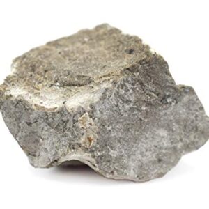 6PK Raw Gray Limestone, Sedimentary Rock Specimens - Approx. 1" - Geologist Selected & Hand Processed - Great for Science Classrooms - Class Pack - Eisco Labs