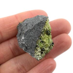 Raw Olivine, Mineral Specimen - Approx. 1" - Geologist Selected & Hand Processed - Great for Science Classrooms - Eisco Labs