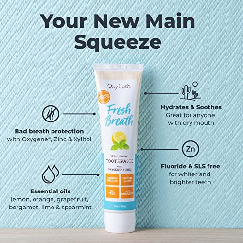 Premium Oxyfresh Maximum Fresh Breath Lemon Mint Toothpaste - Clean Teeth & Fresh Breath - Natural Essential Oils & Natural Xylitol to Help Fight Tartar - SLS & Fluoride Free, 3-5oz