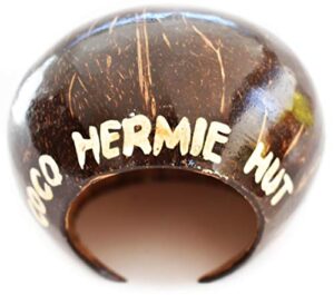 vicien florida shells and gifts large hermie hut shelter for large hermit crabs 4" natural gourd