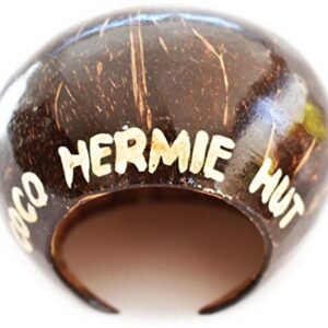 Vicien Florida Shells and Gifts Large Hermie Hut Shelter for Large Hermit Crabs 4" Natural Gourd