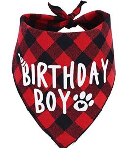 birthday boy dog bandana