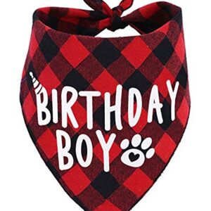 Birthday Boy Dog Bandana