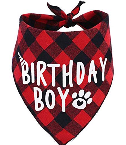 Birthday Boy Dog Bandana