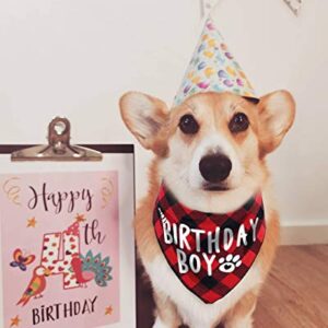 Birthday Boy Dog Bandana