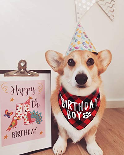 Birthday Boy Dog Bandana