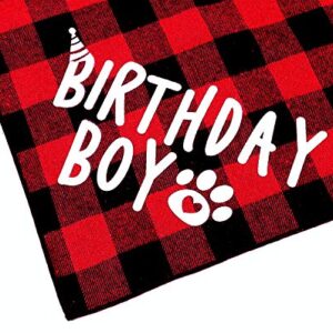 Birthday Boy Dog Bandana