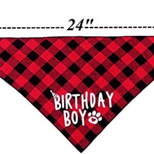 Birthday Boy Dog Bandana