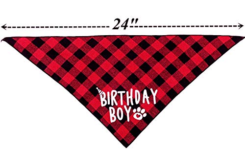 Birthday Boy Dog Bandana