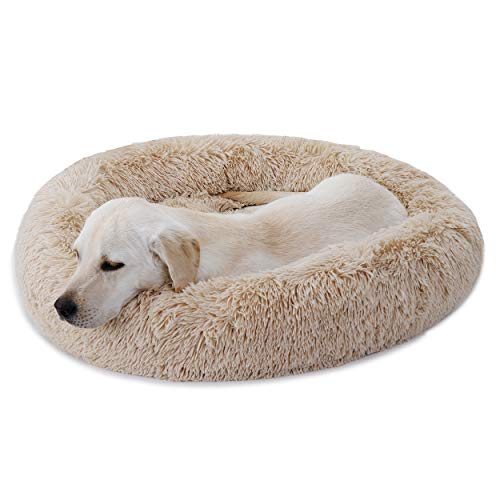 ZENY Pet Bed for Dogs & Cats, Anti-Slip, Machine Washable, Ultra Soft Washable Dog and Cat Cushion Bed