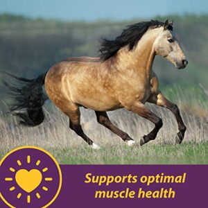 Horse Health Vita E & Selenium Crumbles Horse Vitamin Supplement, Supports optimal muscle health & antioxidant support, 3 lbs., 96 day supply