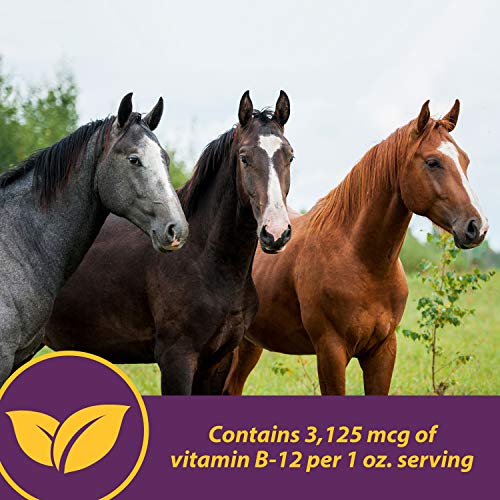 Horse Health Vita B-12 Crumbles Supplement for Horses, Supports red Blood Cell Production for Peak Performance, 3 pounds, 48 Day Supply