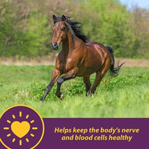 Horse Health Vita B-12 Crumbles Supplement for Horses, Supports red Blood Cell Production for Peak Performance, 3 pounds, 48 Day Supply