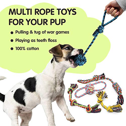 LEGEND SANDY Puppy Chew Toys for Teething, 14 Pack Dog Chew Toys for Small Dog, Dog Toy for Boredom and Stimulating,Pet Toys for Small Breed with Dog Ball,Tug of War Rope Toys Squeaky Plush Toy