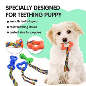 LEGEND SANDY Puppy Chew Toys for Teething, 14 Pack Dog Chew Toys for Small Dog, Dog Toy for Boredom and Stimulating,Pet Toys for Small Breed with Dog Ball,Tug of War Rope Toys Squeaky Plush Toy