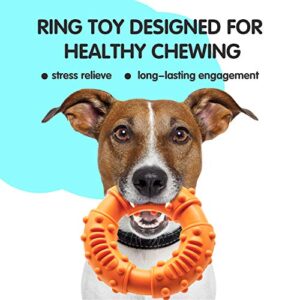 LEGEND SANDY Puppy Chew Toys for Teething, 14 Pack Dog Chew Toys for Small Dog, Dog Toy for Boredom and Stimulating,Pet Toys for Small Breed with Dog Ball,Tug of War Rope Toys Squeaky Plush Toy