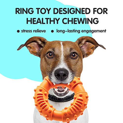 LEGEND SANDY Puppy Chew Toys for Teething, 14 Pack Dog Chew Toys for Small Dog, Dog Toy for Boredom and Stimulating,Pet Toys for Small Breed with Dog Ball,Tug of War Rope Toys Squeaky Plush Toy