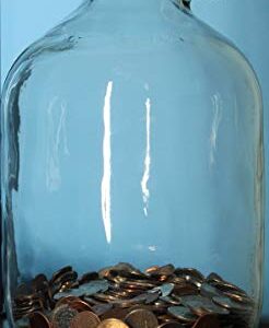 Skywin Swear Jar - Large Glass Money Jar and Adult Piggy Bank for Storing Coin & Change