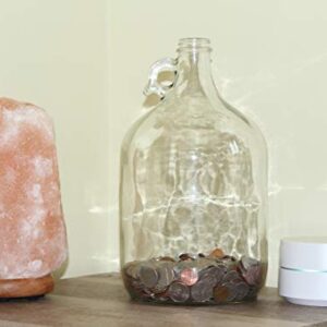 Skywin Swear Jar - Large Glass Money Jar and Adult Piggy Bank for Storing Coin & Change