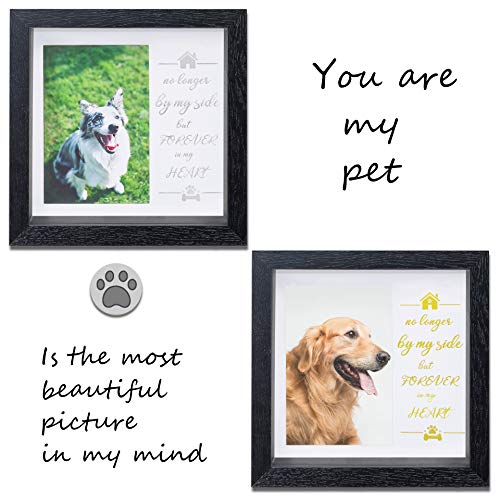 KCRasan Pet Picture Frame Memorial - Dog Memorial Sentiment Frame for Loss of Dog Gifts - Pet Collar Frame Remembrance Sympathy Dog or Cat Tribute Keepsake