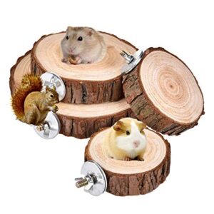 Small Pets Squirrel Hamster Parrot Bird Playing Toy | Wooden Board Jumping Platform Pet Stand