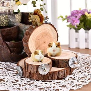 Small Pets Squirrel Hamster Parrot Bird Playing Toy | Wooden Board Jumping Platform Pet Stand