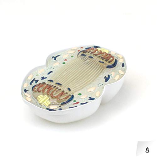 Parco Scientific PB00160 Animal Mitosis 3D Model | 9 Stage Mitosis Demonstration | Biology Classroom Cell Division Display | Detailed Open Cell Organelles | Pieces Equipped with Stand | W Manual