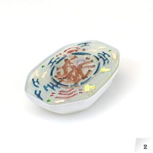 Parco Scientific PB00160 Animal Mitosis 3D Model | 9 Stage Mitosis Demonstration | Biology Classroom Cell Division Display | Detailed Open Cell Organelles | Pieces Equipped with Stand | W Manual