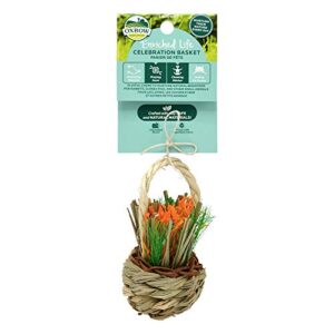 oxbow enriched life celebration basket