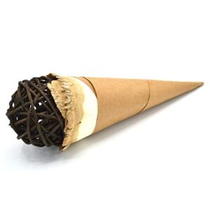 Oxbow Enriched Life Celebration Cone