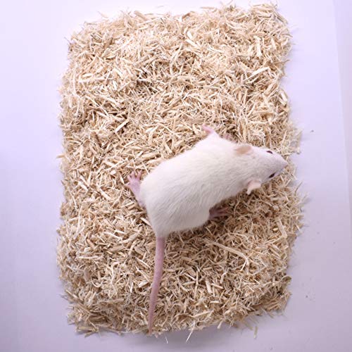 MiceDirect 25 Weanling Rats: Pack of Frozen Weanling Feeder Rats - Food for Corn Snakes, Ball Pythons, Lizards and Other Pet Reptiles - Freshest Snake Feed Supplies