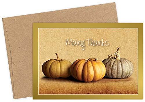 Fall Pumpkins Thank You Note Cards & Envelopes - 50 Cards & Envelopes - Features Gold Foil Highlights!