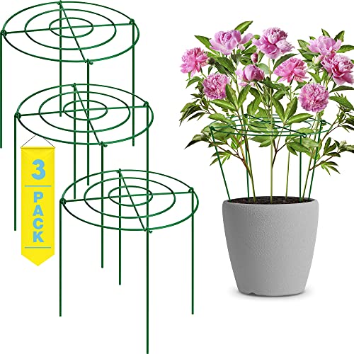 Peony Support, Peony Cage (3 Pack) Extra Large 18” Wide x 24” Height Peony Ring with 4 Legs, Plant Supports for Outdoor Plants, Peonies Cages