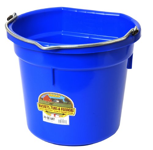 Plastic Animal Feed Bucket (Blue) - Little Giant - Flat Back Plastic Feed Bucket with Metal Handle (20 Quarts / 5 Gallons) (Item No. P20FBBLUE6)