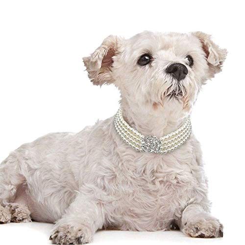 Dogs Kingdom Elegant Fancy Pearls Dog Cat Collar Small Dog Crystal Rose Flower Collar Pet Party Neck Grooming Jewelry Accessory,White,L:12-14" Neck