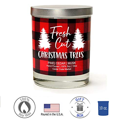 Fresh Cut Christmas Trees, Pine, Cedar, Musk, Buffalo Plaid Christmas Scented Soy Candle, 10 Oz. Candle, Made in The USA, Decorative Holiday Candles, Best Smelling Christmas Candles for Home