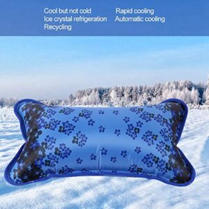 Water Pillow, Summer Cooling Pillow Water Filled Pillows for Sleeping Water Seat Cushion for Children,Student,Office,Car,Travel (55*35CM)