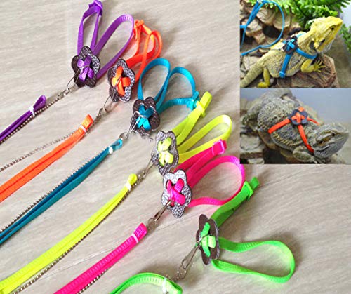 Sawyd Adjustable Reptile Lizard Harness Leash,Turtle Lizard Pet Traction Belt Bearded Dragon Accessories Soft Small Pet Animal Harness Rope -1.2M (Blue)