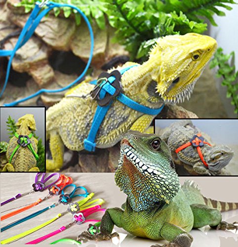 Sawyd Adjustable Reptile Lizard Harness Leash,Turtle Lizard Pet Traction Belt Bearded Dragon Accessories Soft Small Pet Animal Harness Rope -1.2M (Blue)