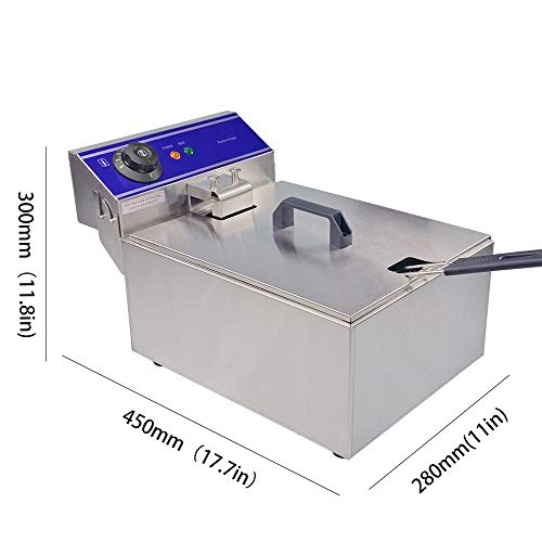 DULONG Commercial Electric Deep Fryer Countertop Stainless Steel Deep Fryer with Temperature Control Single Large Tank French Fries for Restaurant Home Kitchen (2000W 10L)