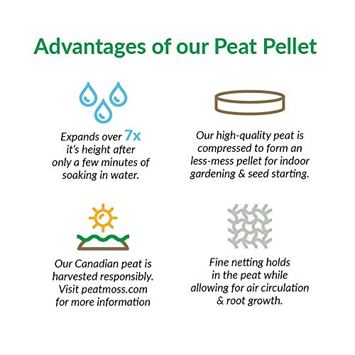 Ferry Morse Jiffy Seed Starting Greenhouse with 72 36mm Peat Pellets and Bonus SUPERthrive Sample + Plant Markers (2 Pack)